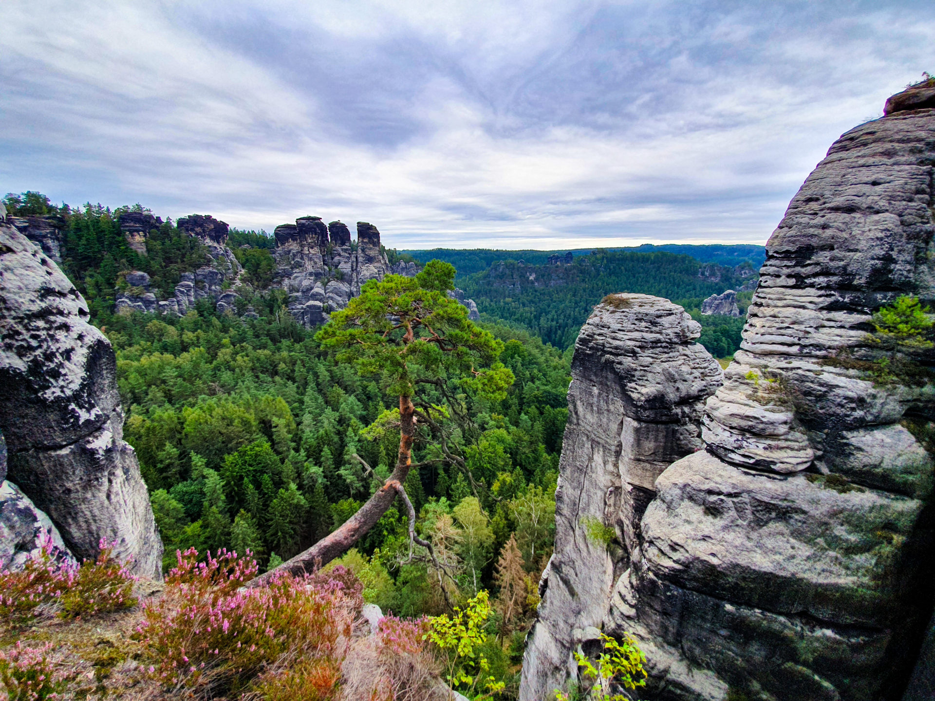 12 Reasons to Visit Saxon Switzerland National Park [2024]