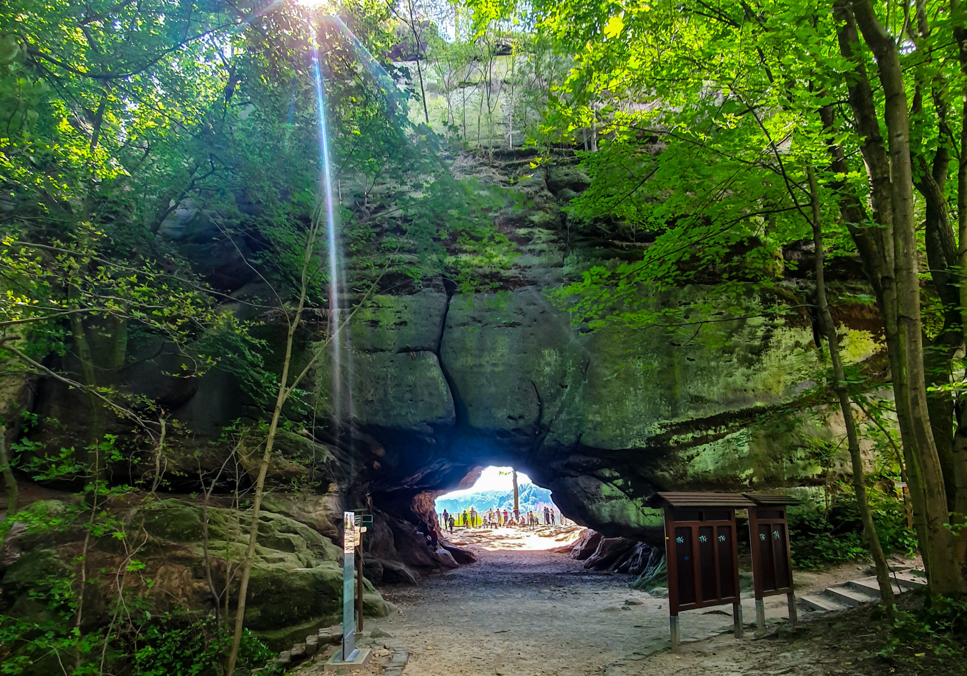 12 Reasons to Visit Saxon Switzerland National Park [2024]